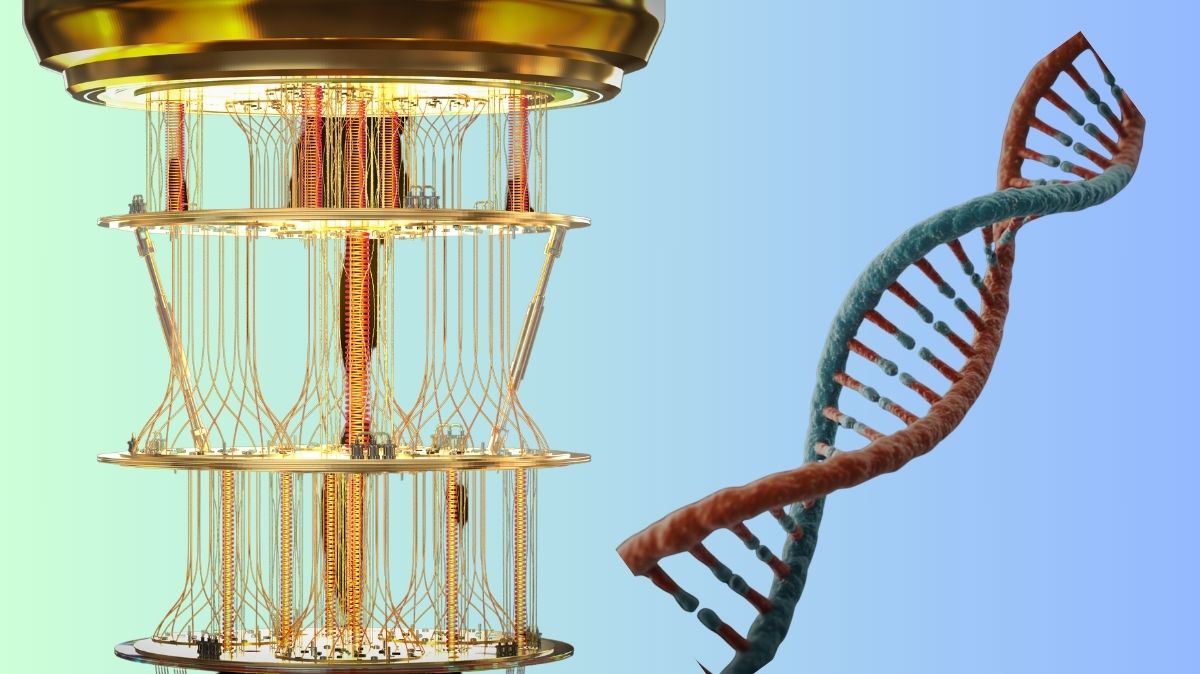 Ultralight Dark Matter Detection with Superconducting Qubits