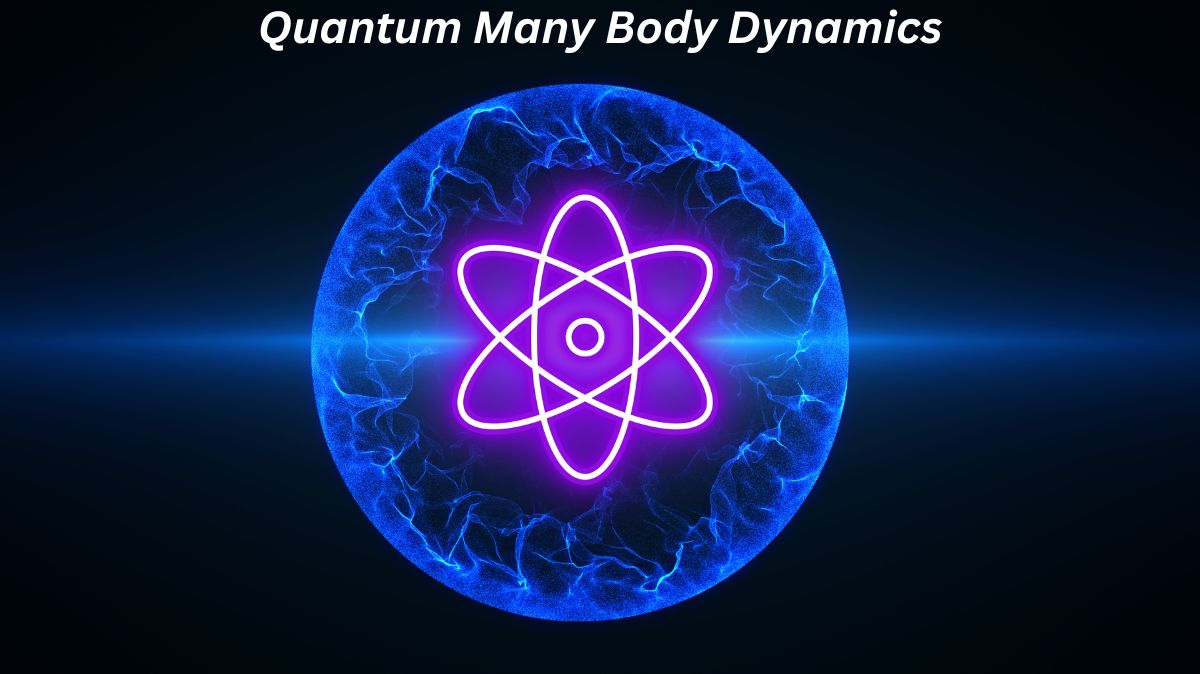Quantum Many Body Dynamics Simulation Via CQD Algorithm